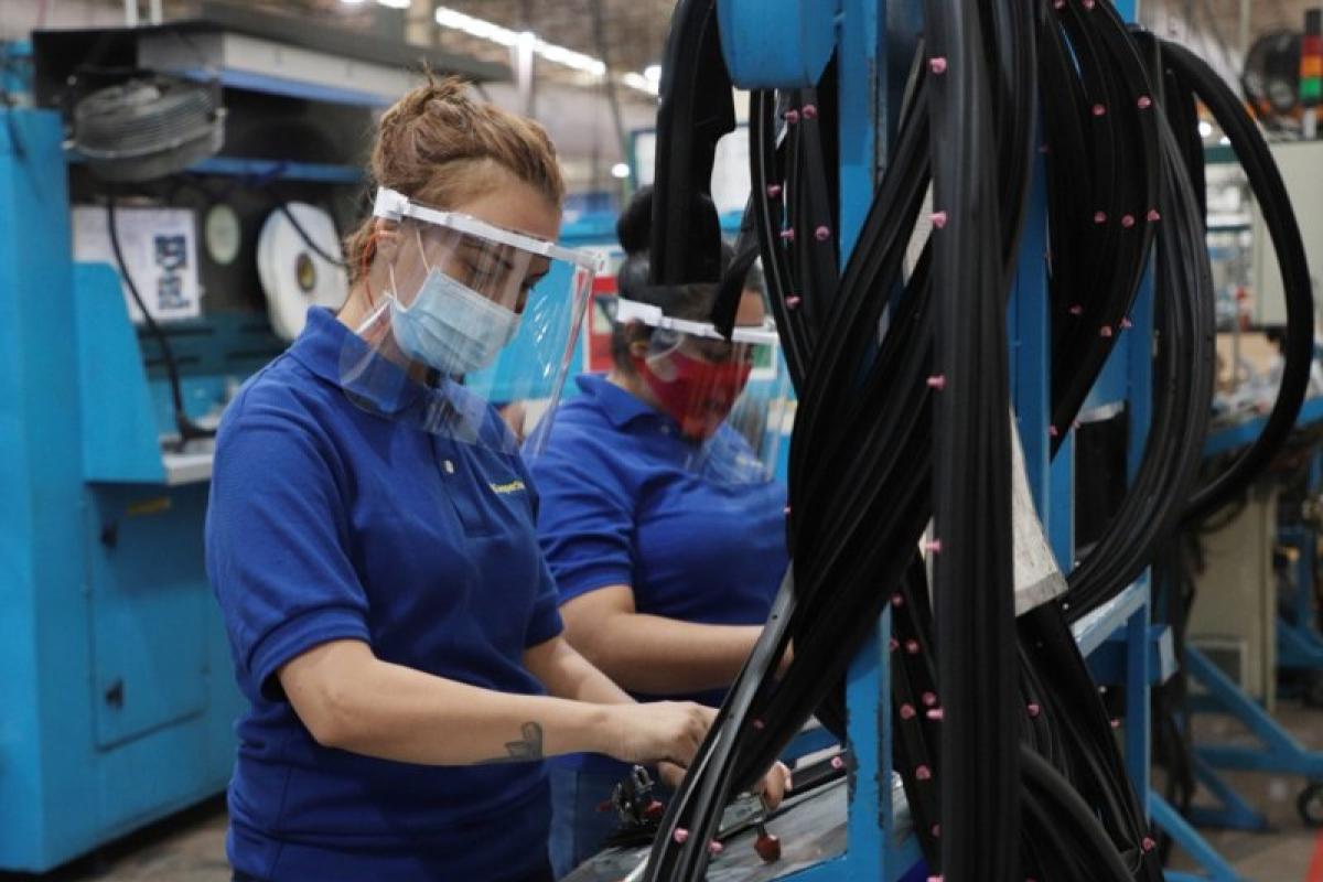 Cierra México el 2022 con una baja en la tasa de desempleo: INEGI | BI ...