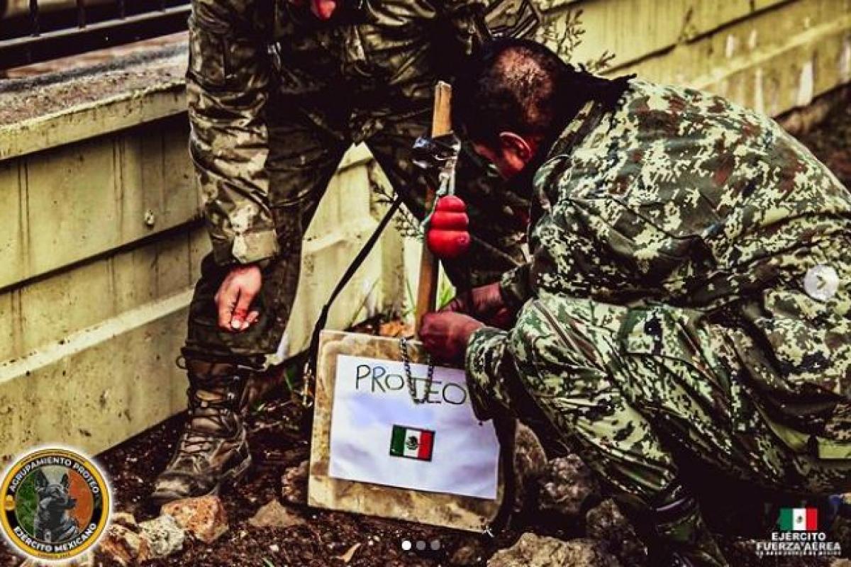 Anuncia Sedena repatriación del cuerpo de Proteo | BI Noticias