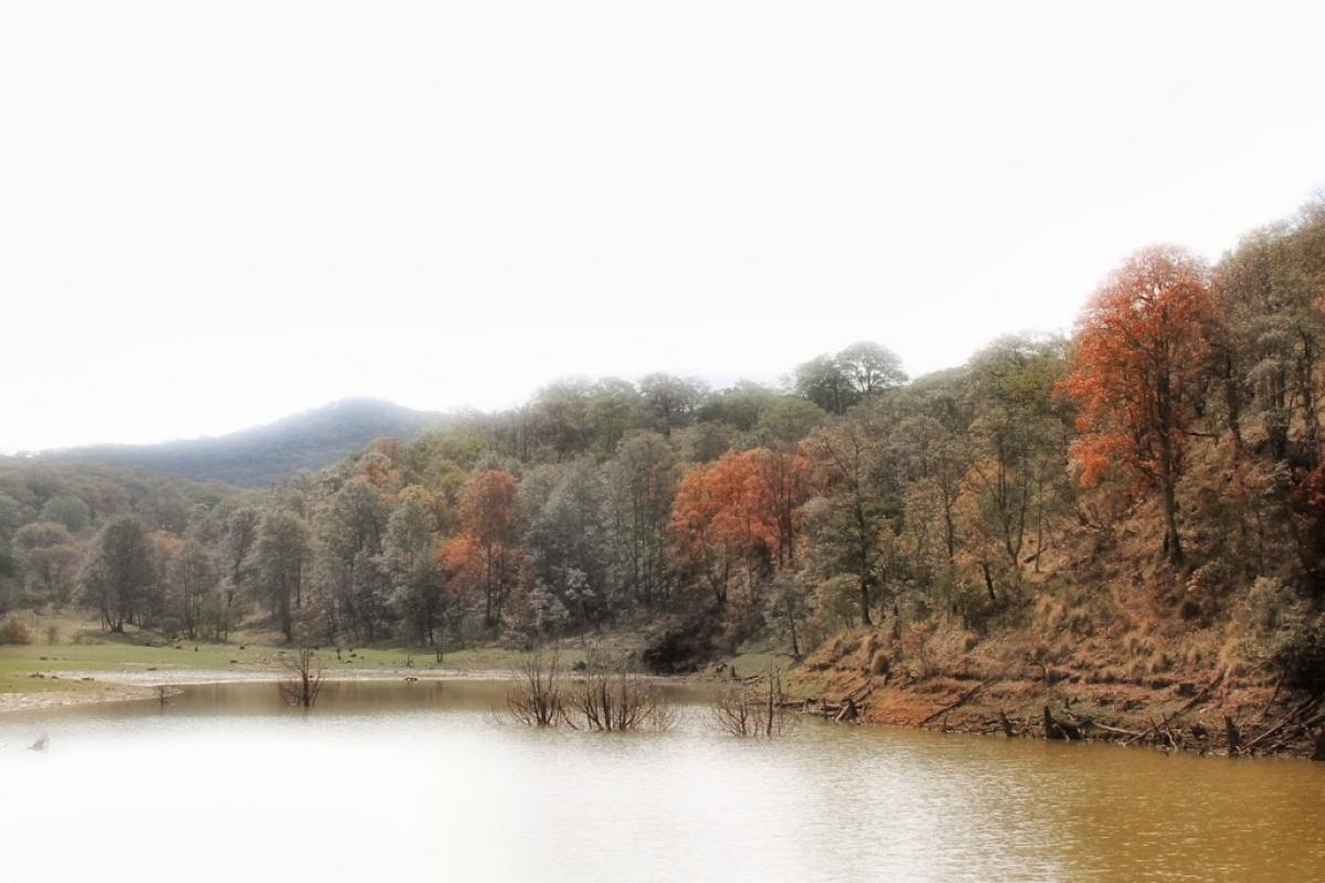Insisten ambientalistas contra modificaciones en el área protegida de ...