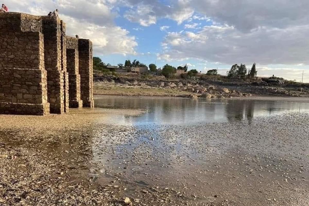 Urge modernización y desazolve en la presa del Saucillo para evitar ...