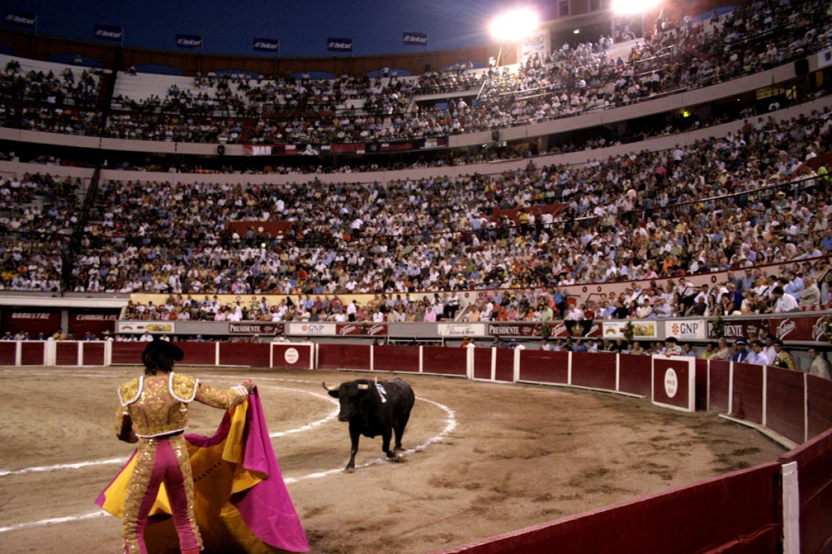 Garantizadas las corridas de toros durante la Feria Nacional de San ...