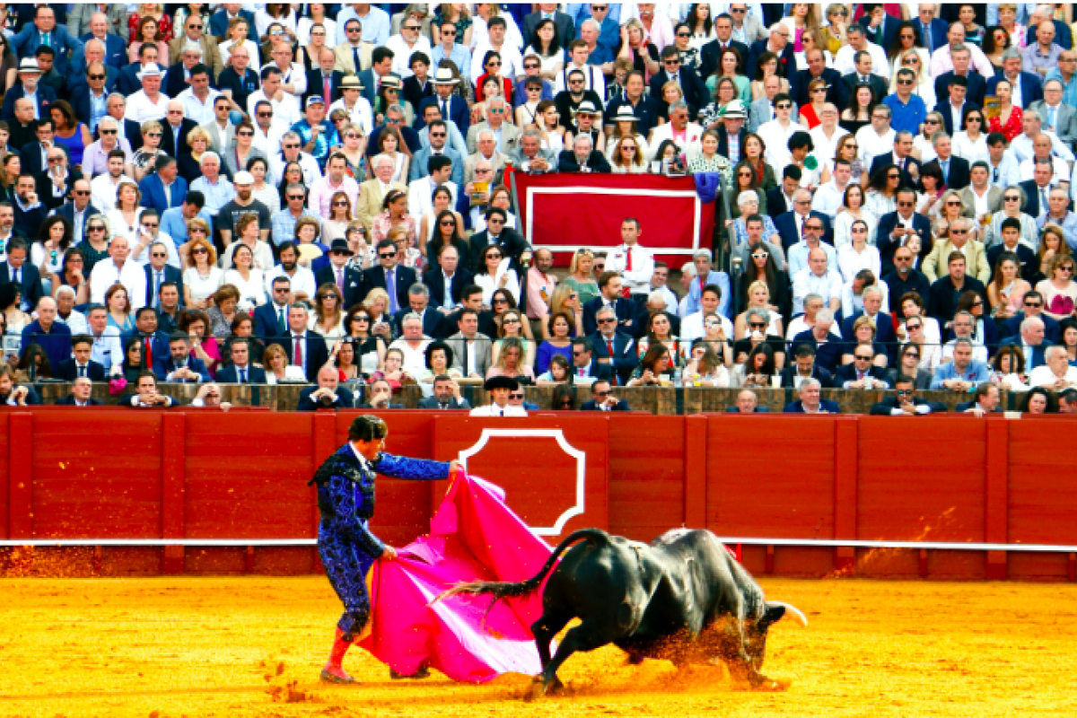 Corridas de toros permanecerán en Aguascalientes: SEGGOB | BI Noticias