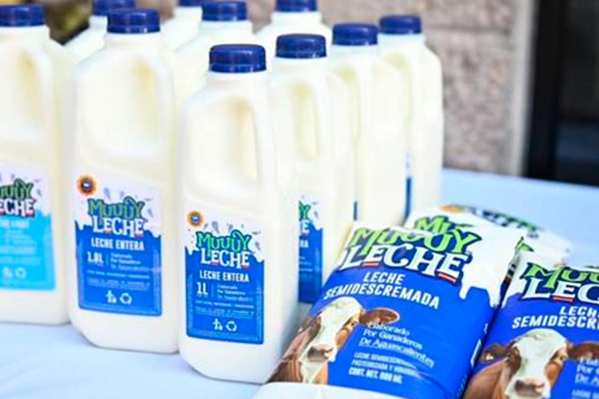 Productores de leche buscan posicionar “Muuuy leche” en la entidad | BI ...
