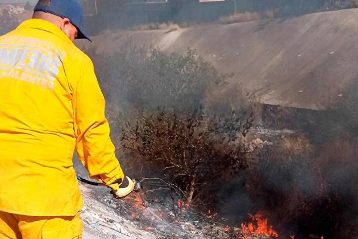 Al alza, incendios forestales en Aguascalientes en los últimos cinco ...