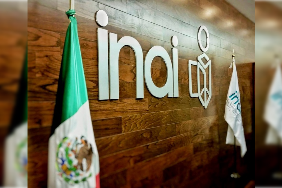 Gobierno federal elimina contrapesos y deja órganos clave sin ...