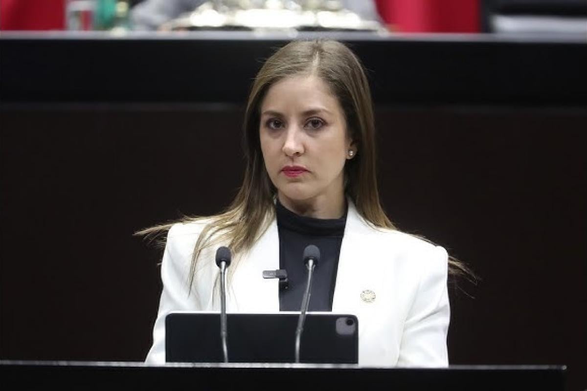Acusa Anayeli Muñoz hipocresía en la Cámara de Diputados por violencia ...